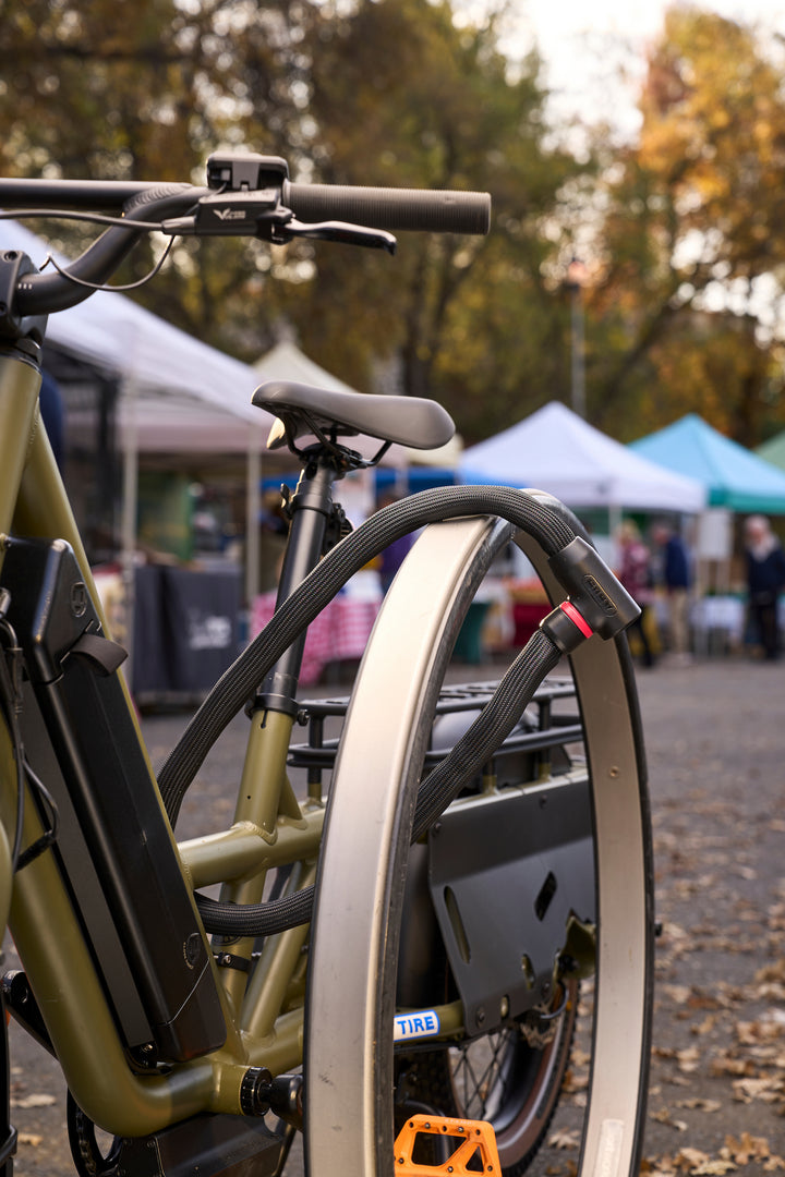 Bike Locks – ABUS USA